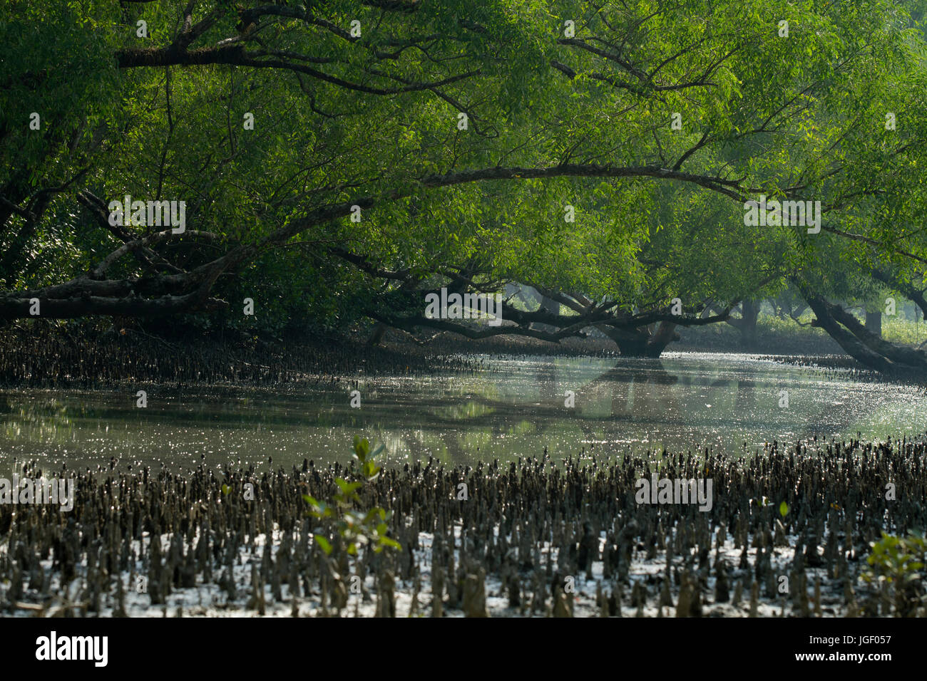 Hiron point hi-res stock photography and images - Alamy