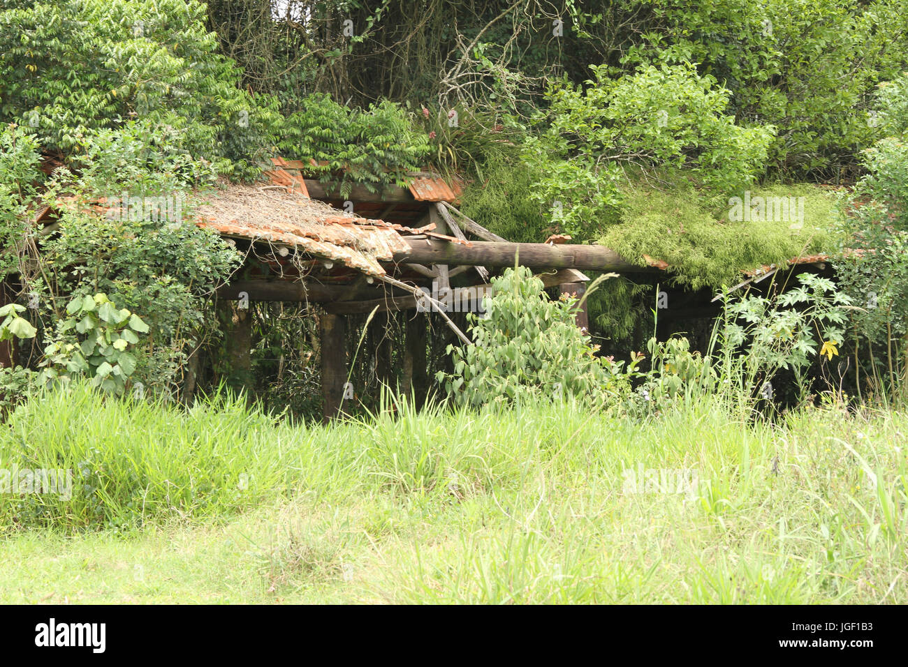 Roof, wood, suburbs, 2014, Capital, São Paulo, Brazil Stock Photo - Alamy