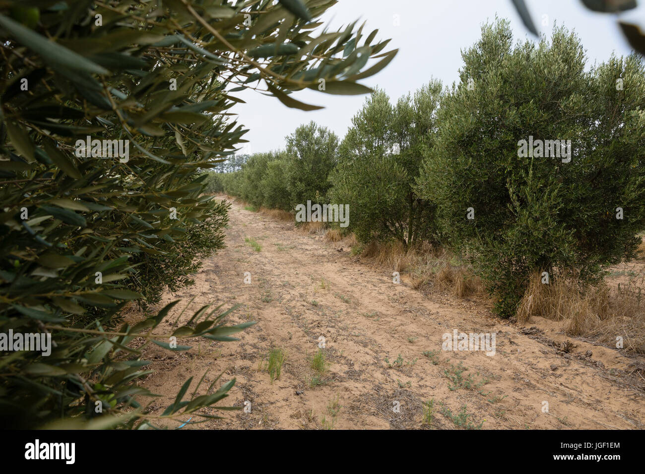 Empty rural dirt farm hi-res stock photography and images - Alamy