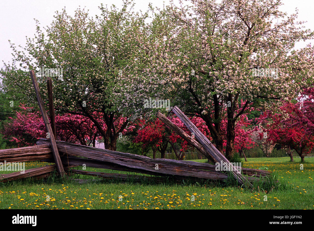 A spring scene at the Shelburne Museum in Shelburne, Vermont, USA Stock ...