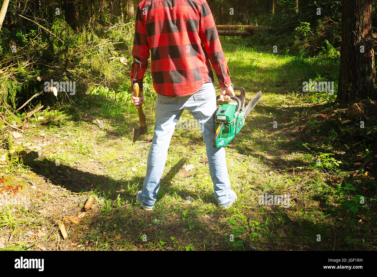 Lumberjack cutting trees in a forest hi-res stock photography and ...