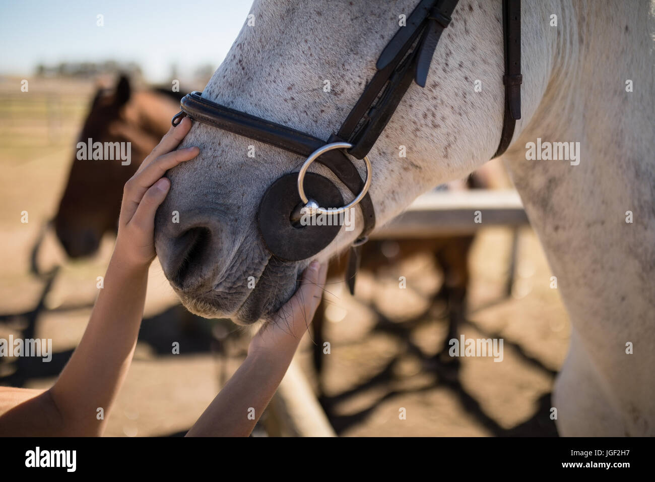 Caressing hand hi-res stock photography and images - Alamy