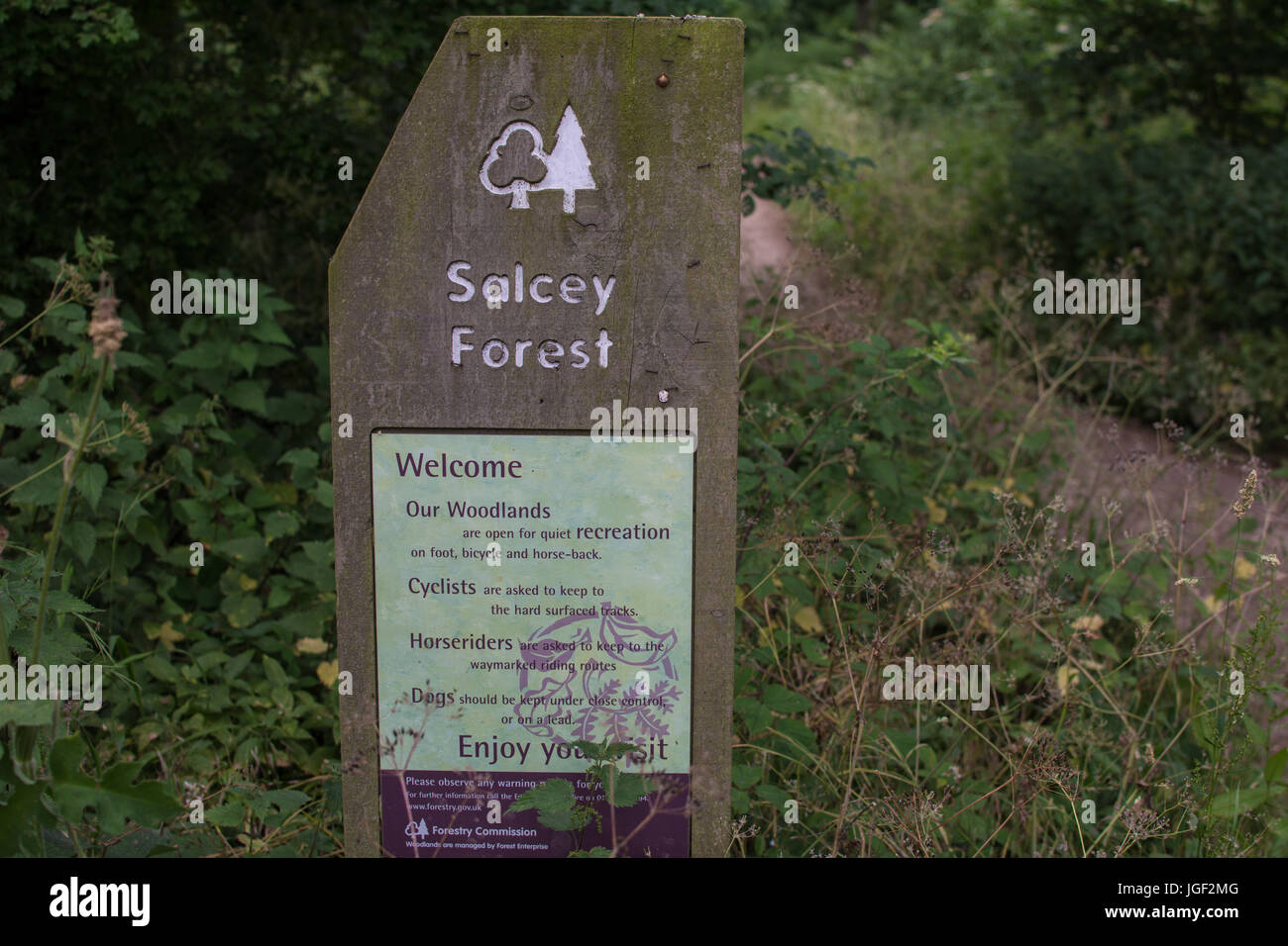 Salcey Forest Northamptonshire High Resolution Stock Photography and ...
