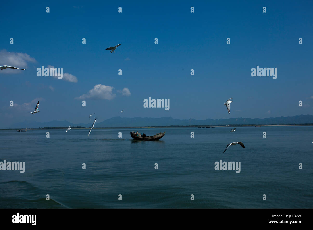 Bangladesh teknaf wildlife hi-res stock photography and images - Alamy