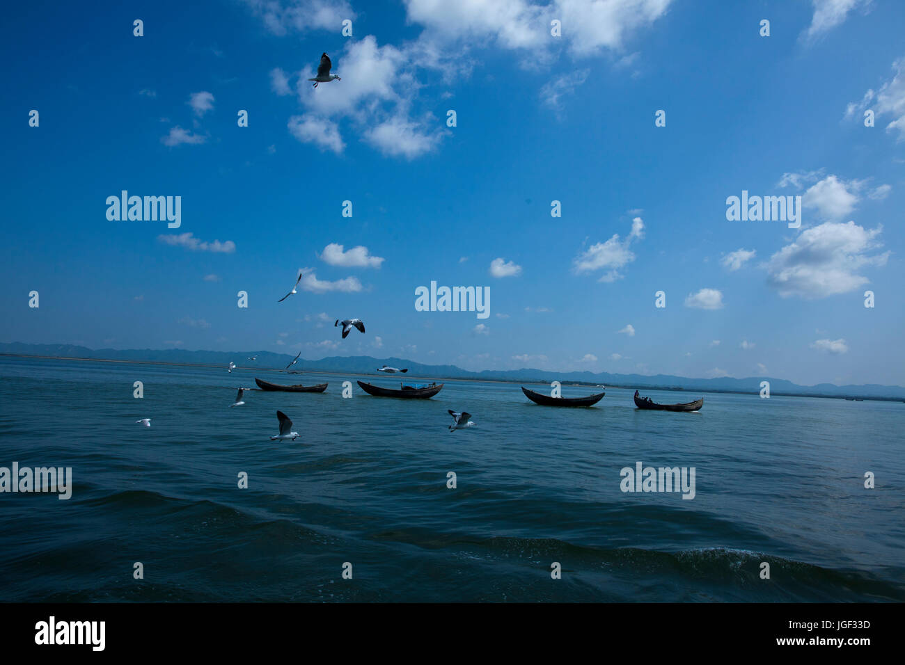 Bangladesh teknaf wildlife hi-res stock photography and images - Alamy