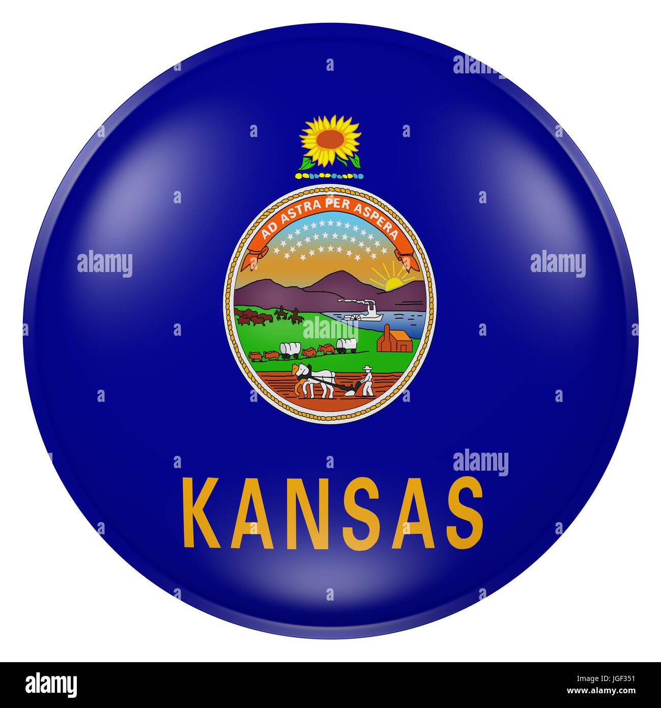 3d rendering of Kansas State flag on a button Stock Photo - Alamy