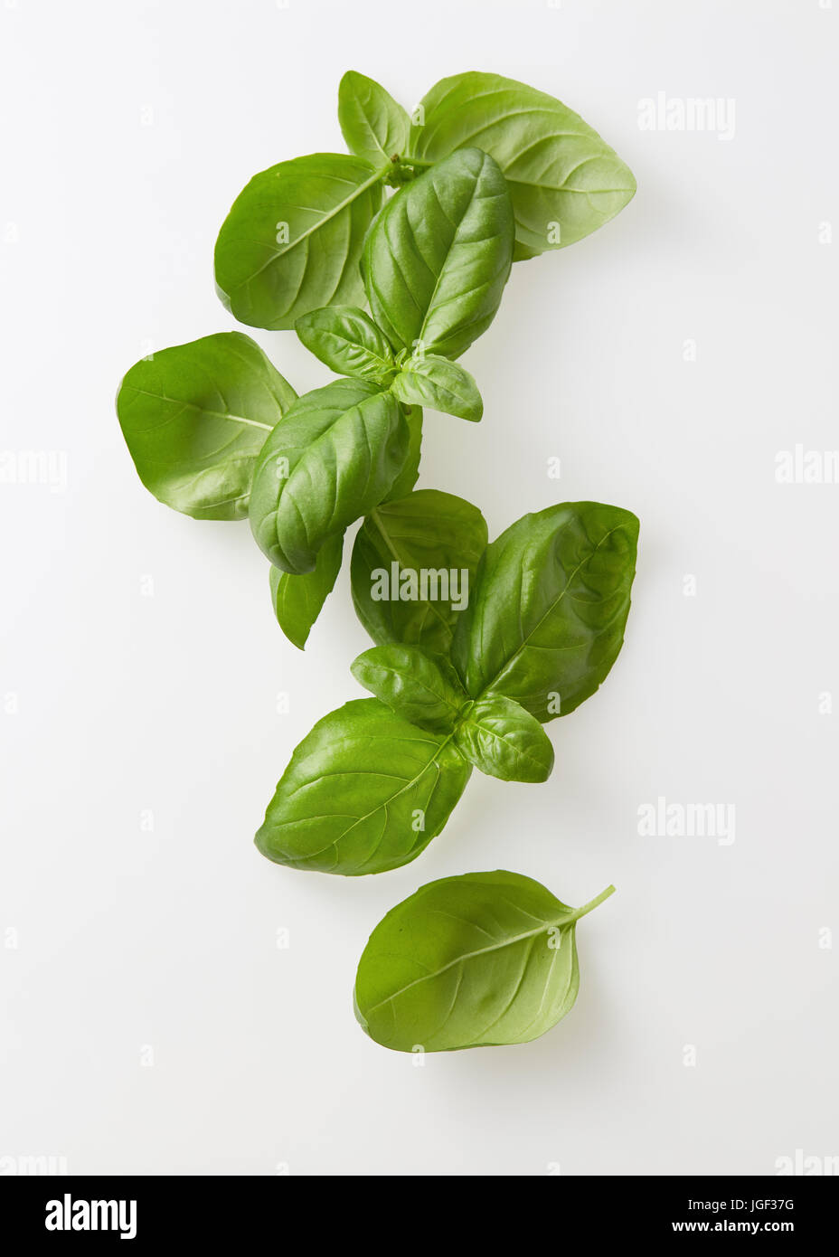 Basil background hi-res stock photography and images - Alamy