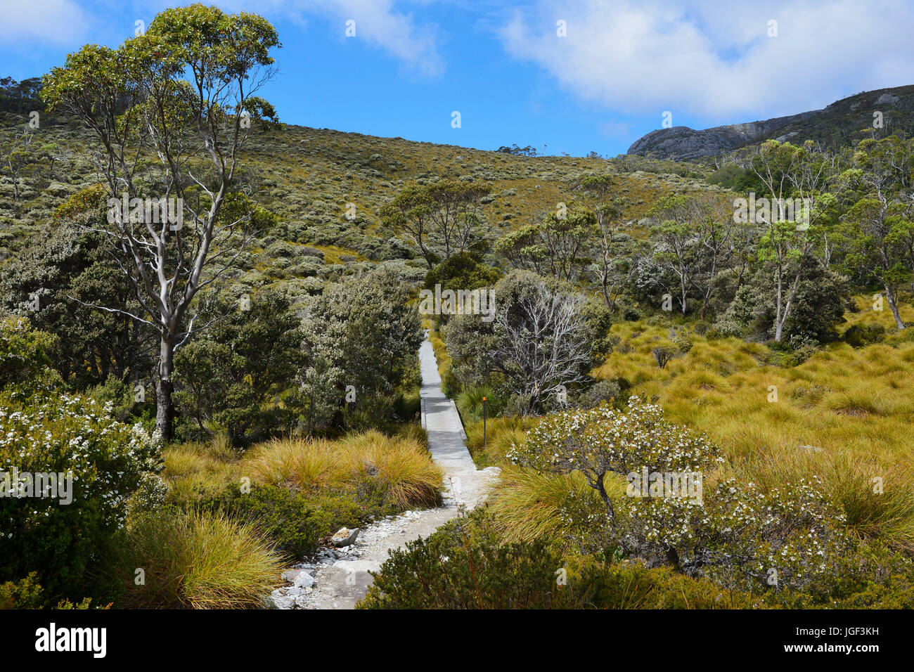 Overland track to Crater Lake, Cradle Mountain-Lake St Clair National ...