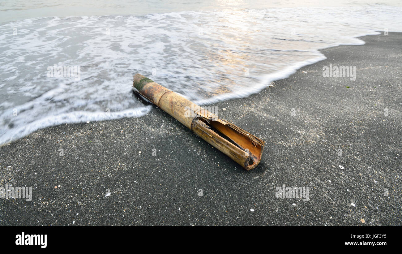 A bamboo on the beach Stock Photo - Alamy