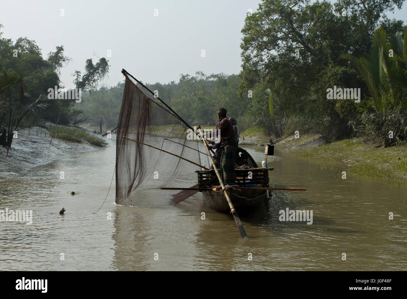 Fishermen fishing with otters in the Sundarbans, a UNESCO World ...