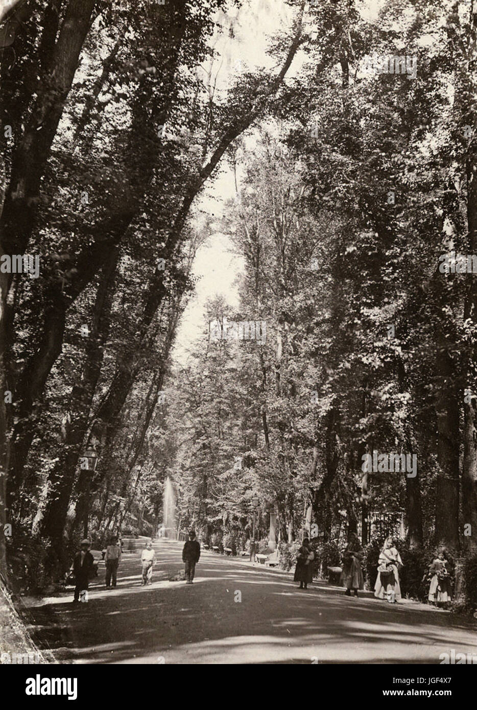 Carl Curman - Bosque de la Alhambra, Granada, Spain Stock Photo - Alamy