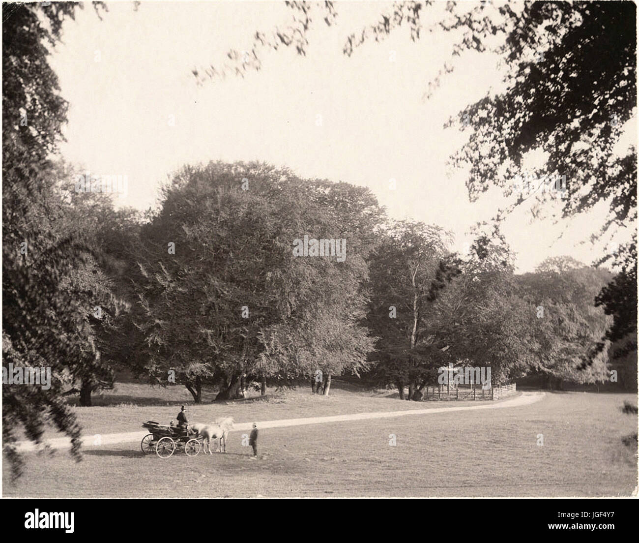 Carl Curman - Dyrehaven Park, Copenhagen, Denmark Stock Photo - Alamy