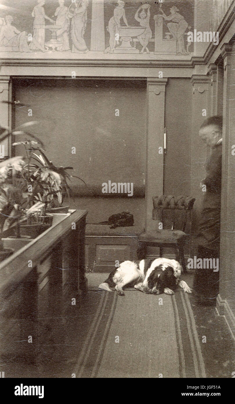 Carl Curman - Interior with frieze and dog, Stockholm, Sweden Stock ...