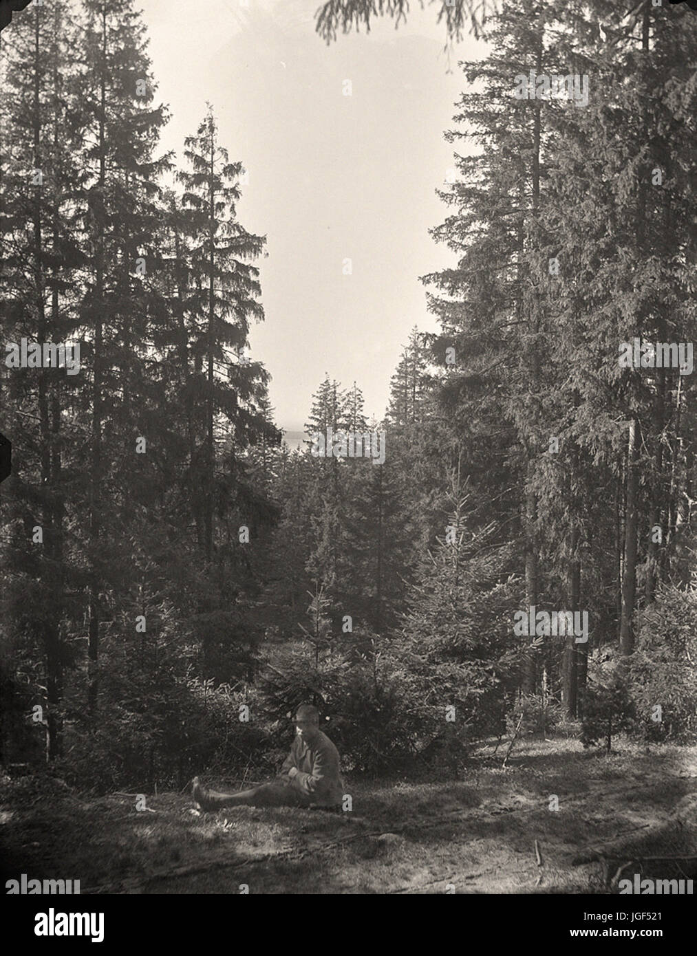 Carl Curman - Man in the wood, Omberg, Sweden Stock Photo - Alamy