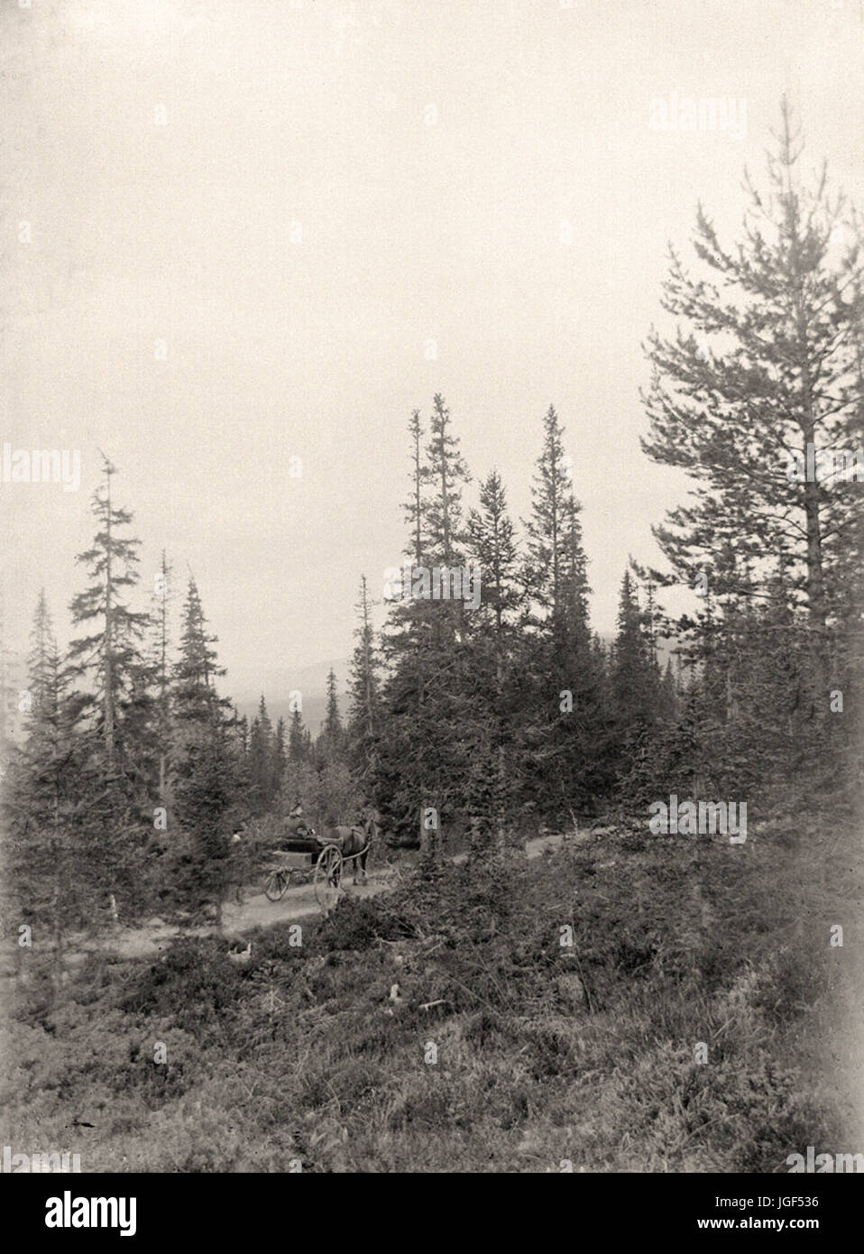 Carl Curman - On the road over Tons u00e5sen, Valdres, Norway Stock ...