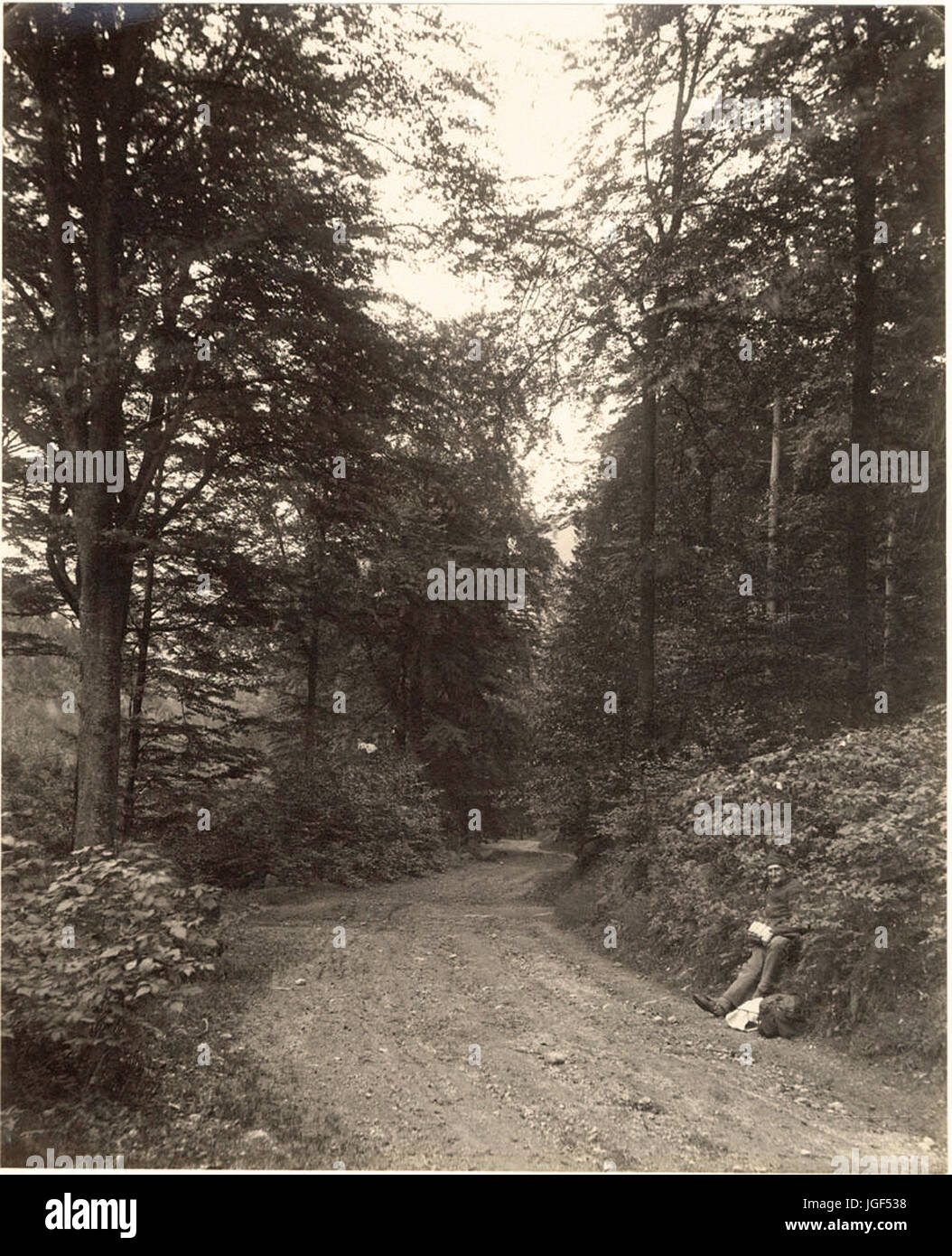 Way on brocken mountain hi-res stock photography and images - Alamy