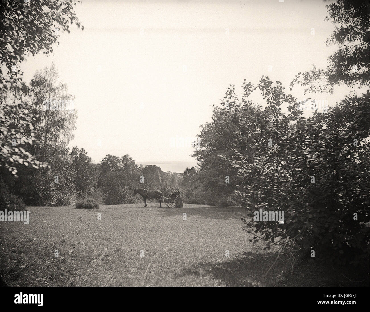 Carl Curman - Woman, horse and cart, Omberg, Sweden Stock Photo - Alamy