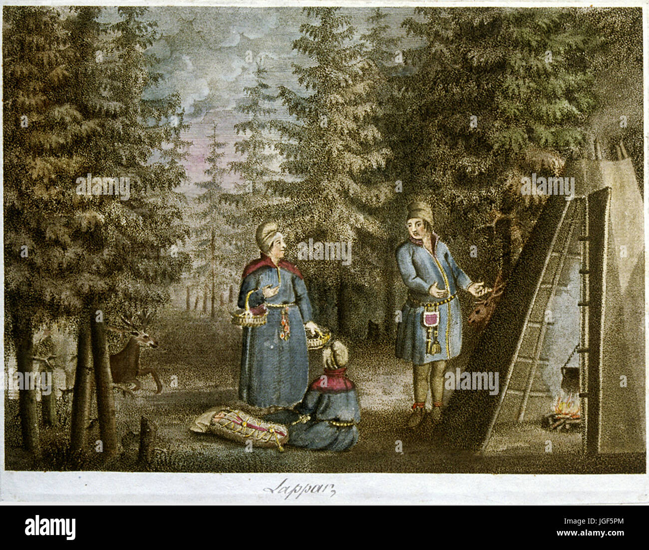 Sami and reindeer in Lappland Stock Photo - Alamy