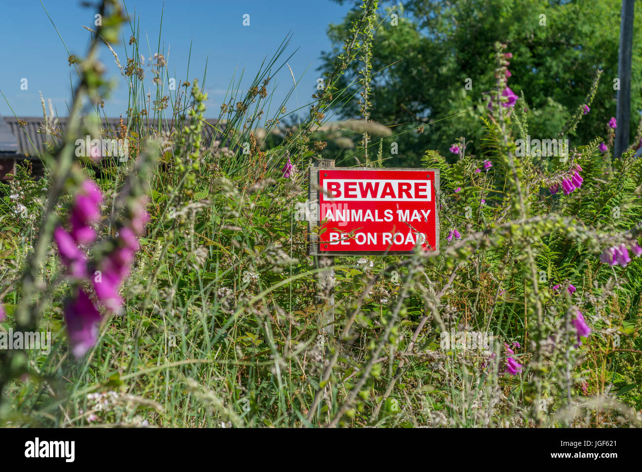 Beware animals sign hi-res stock photography and images - Alamy