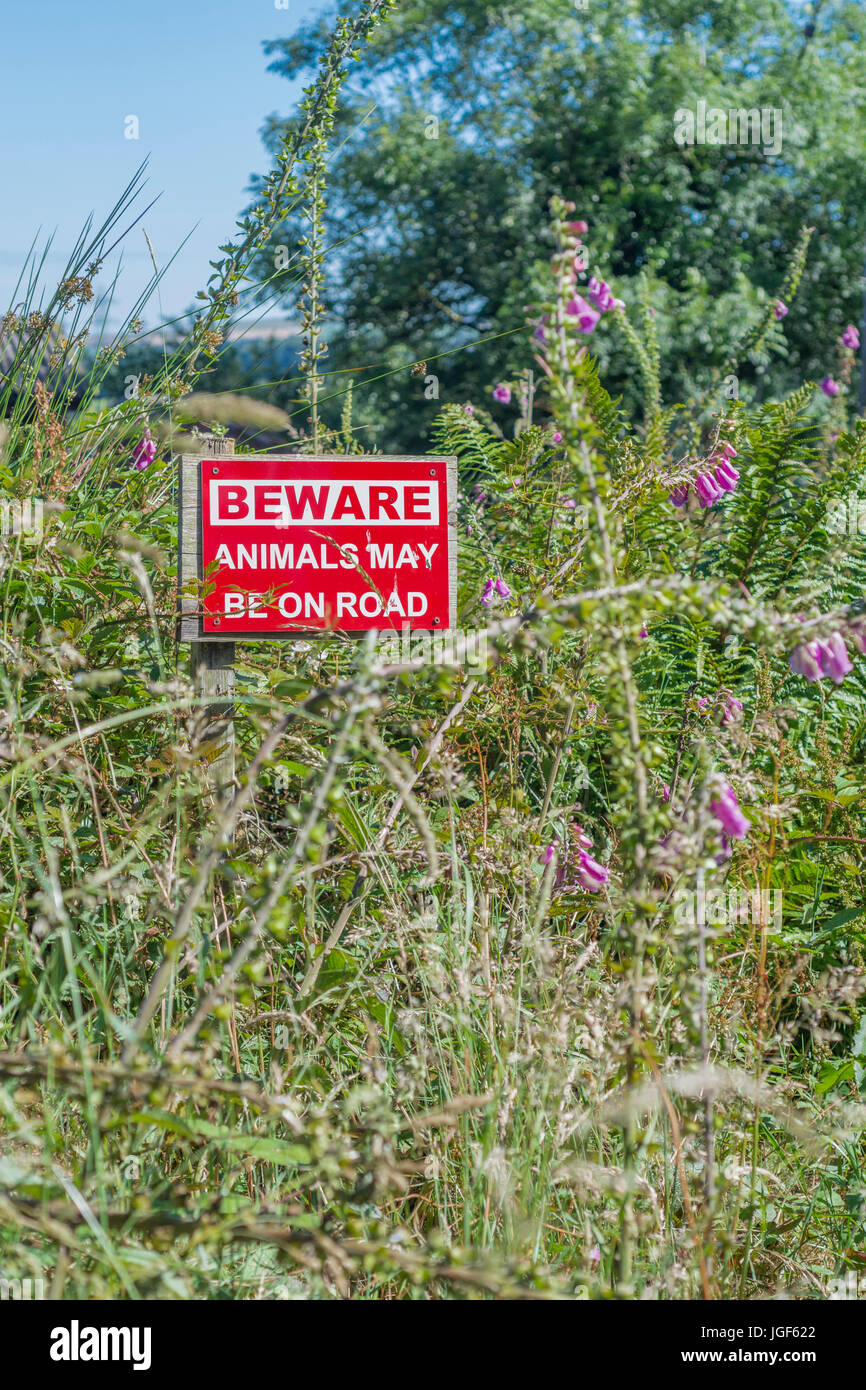 Beware animals on road hazard sign. Country roadsigns UK Stock Photo ...