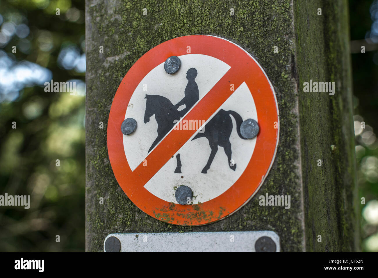 No horseriding pictogram hi-res stock photography and images - Alamy