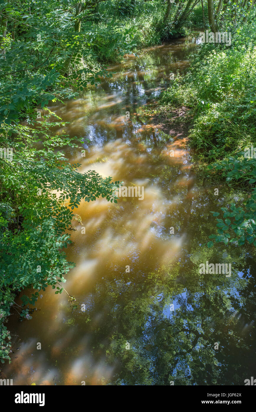 Small stream with turbid brown waters. Metaphor environmental pollution ...