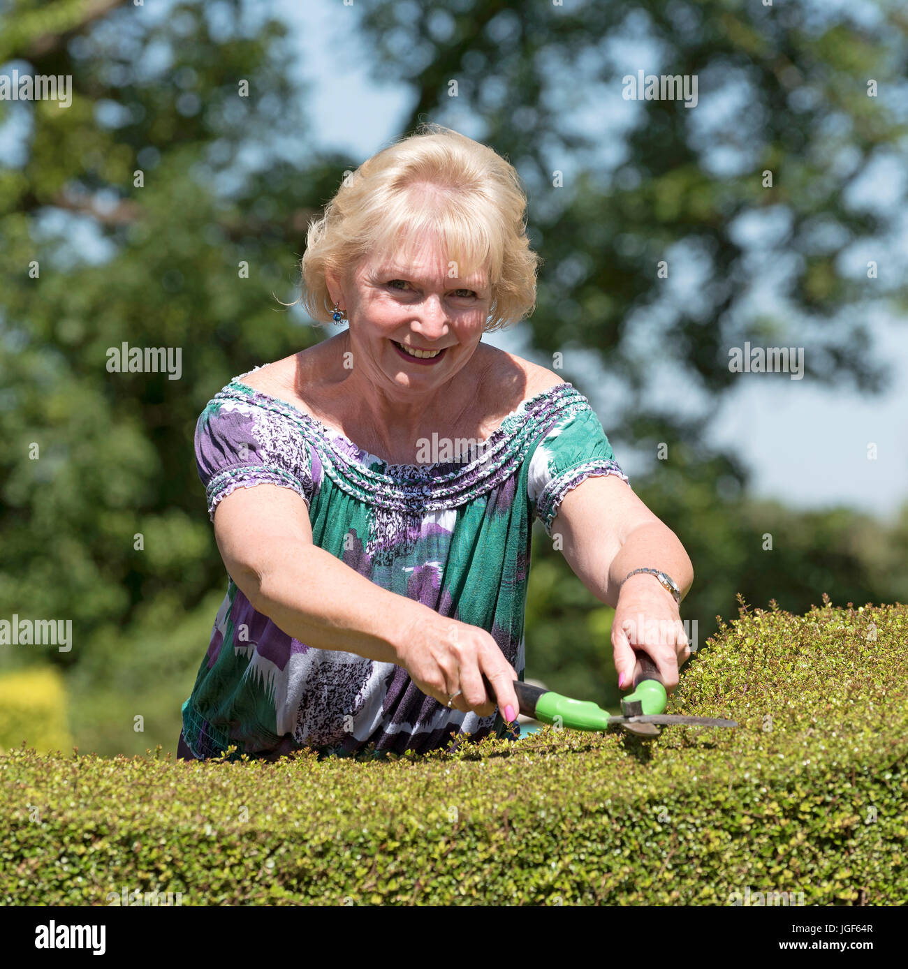 Woman trimming hedge hi-res stock photography and images - Alamy