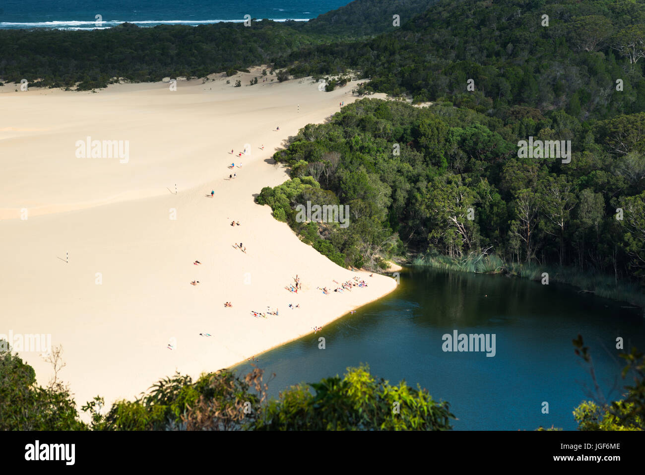 Lake Wabby, Fraser Island, Queensland, Australia Stock Photo - Alamy