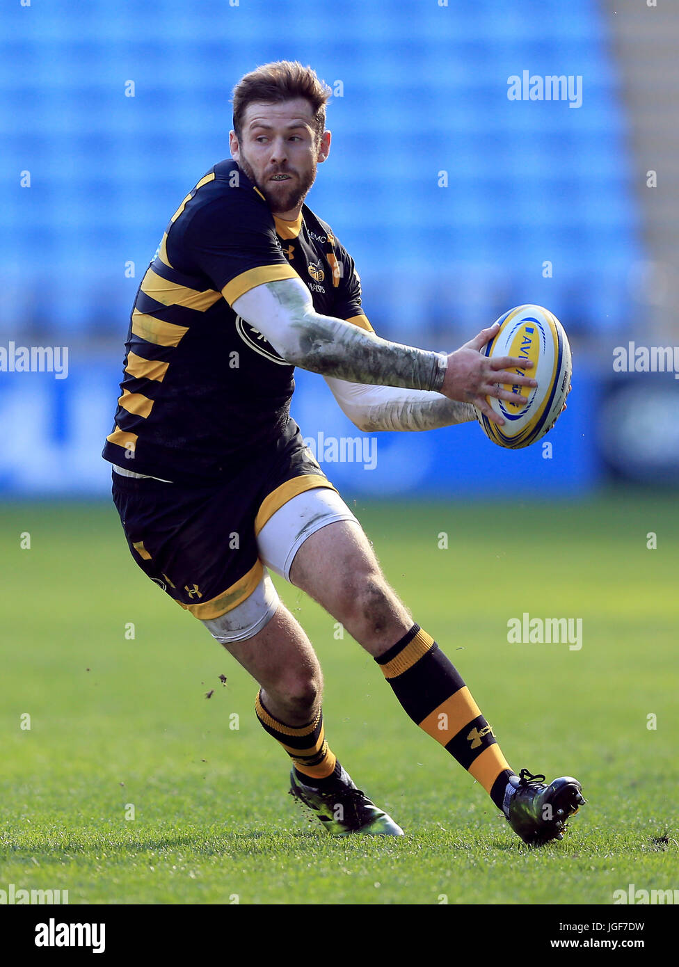 Elliot Day, Wasps Stock Photo - Alamy