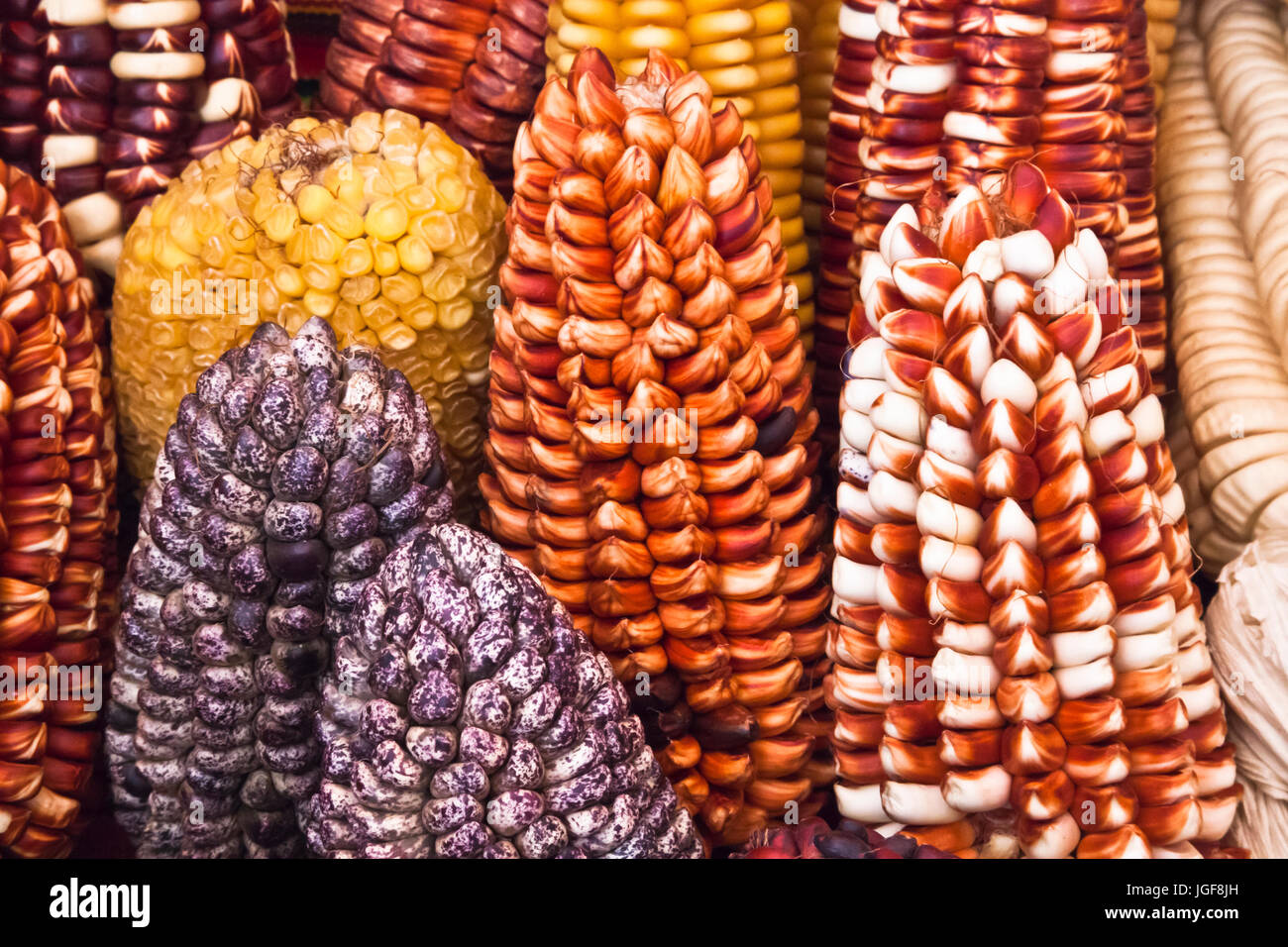 Native corn in lima hi-res stock photography and images - Alamy