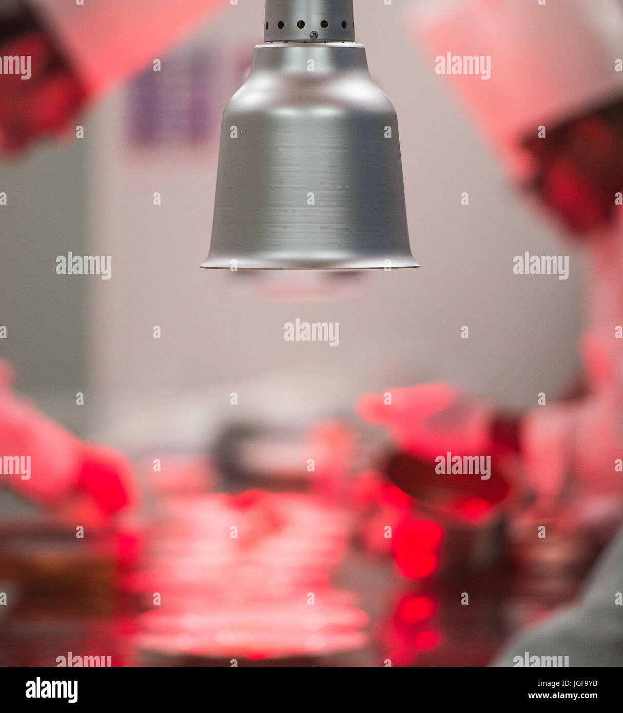 Team Chefs in luxury hotel restaurant kitchen cooking Stock Photo - Alamy