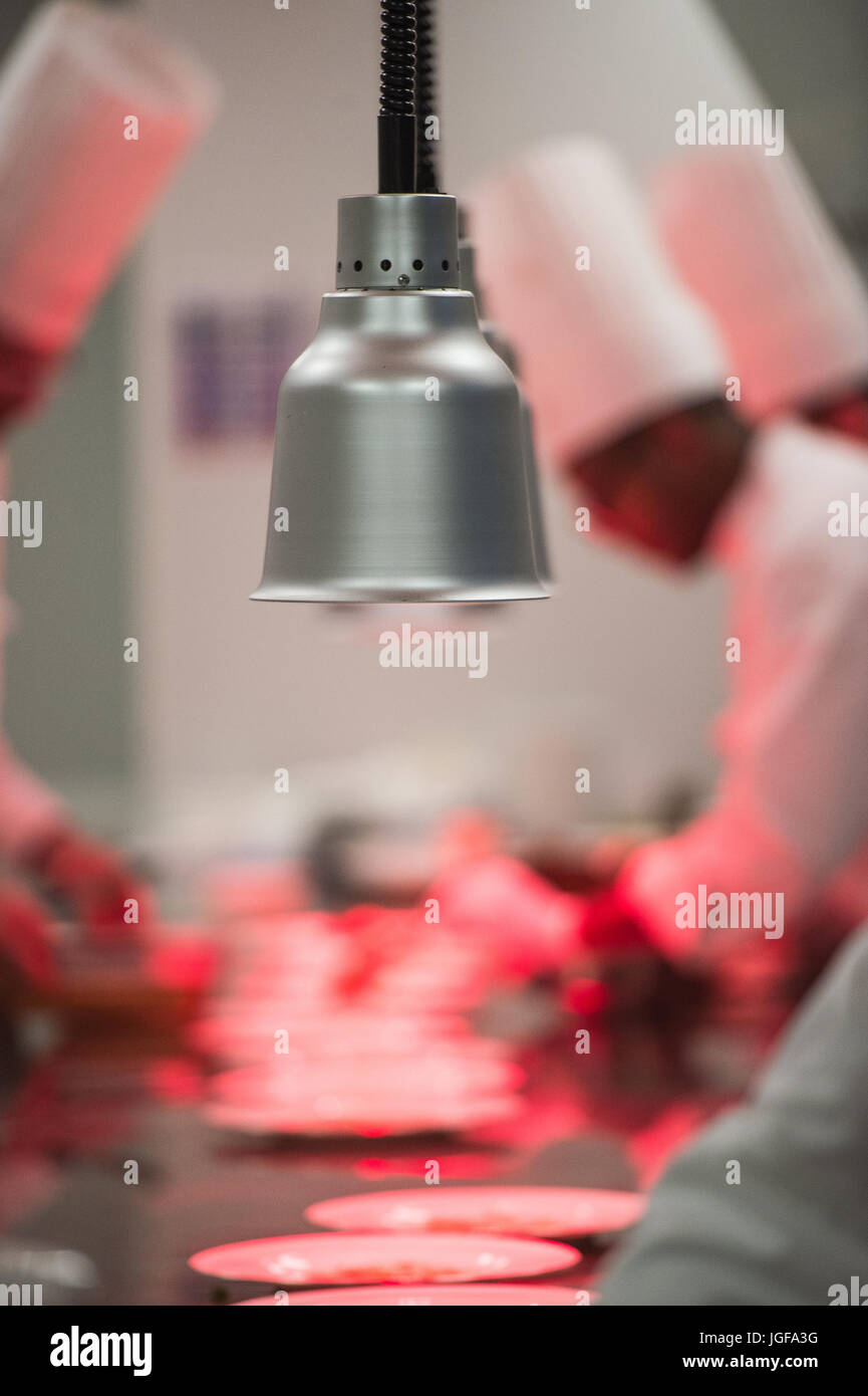 Team Chefs in luxury hotel restaurant kitchen cooking Stock Photo - Alamy