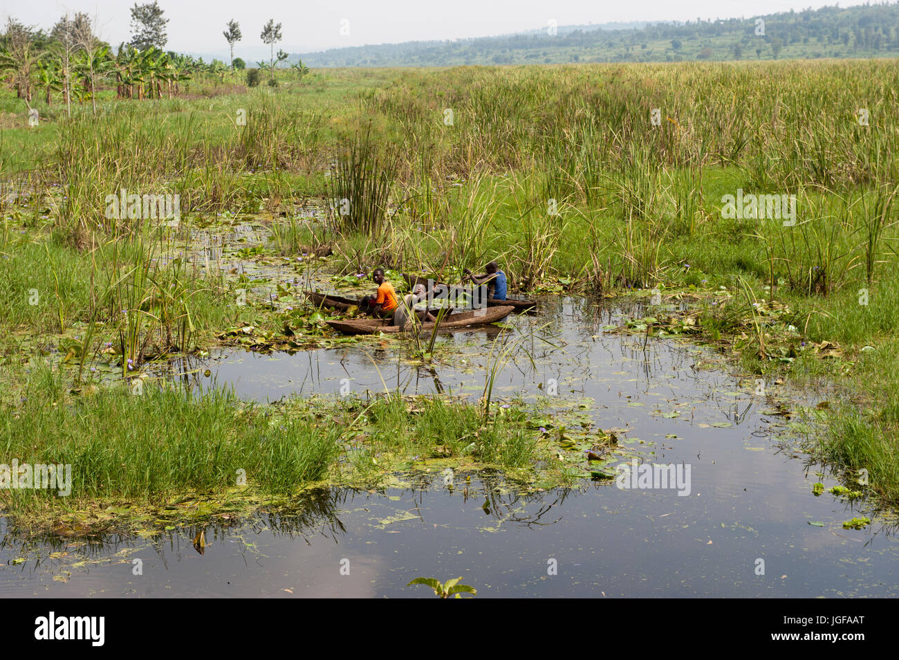 Rwandan people with home made canoes made from tree trunks gathering ...