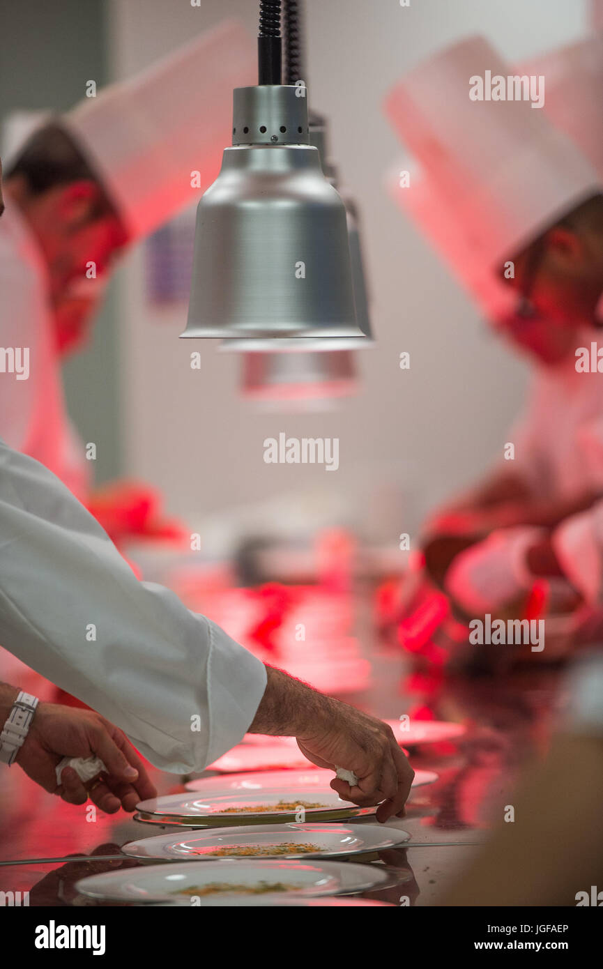 Team Chefs in luxury hotel restaurant kitchen cooking Stock Photo - Alamy