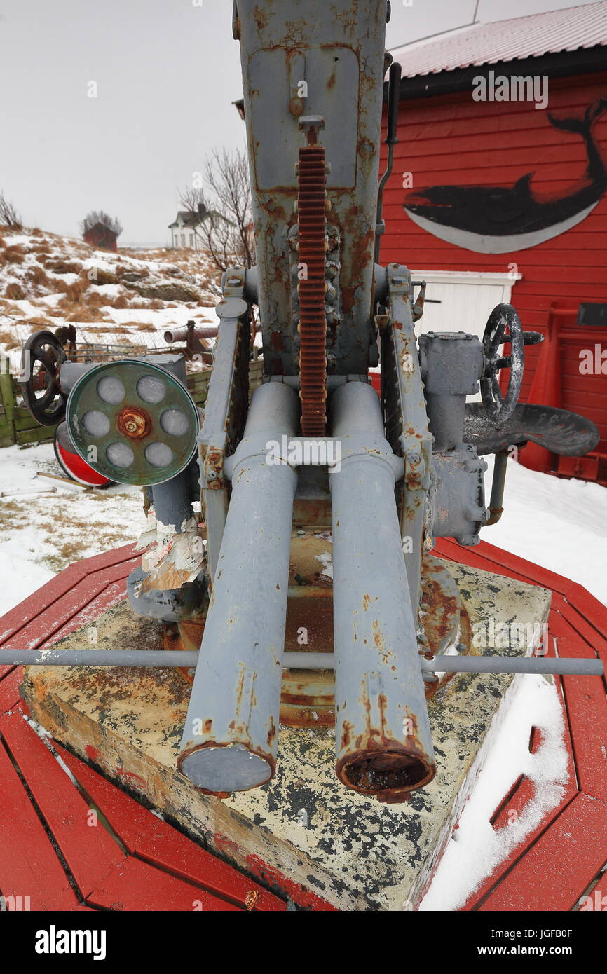 Anti-aircraft machine gun placed along with other weapons in the garden ...