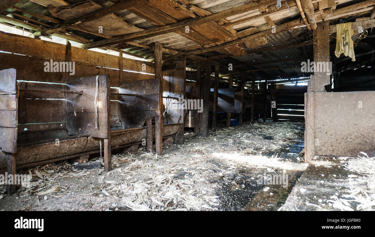Cow trough hi-res stock photography and images - Alamy