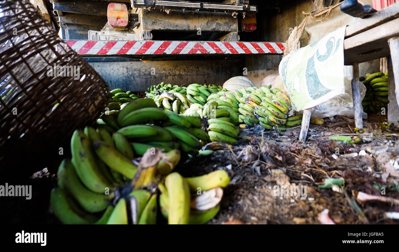 Loading banana hi-res stock photography and images - Alamy
