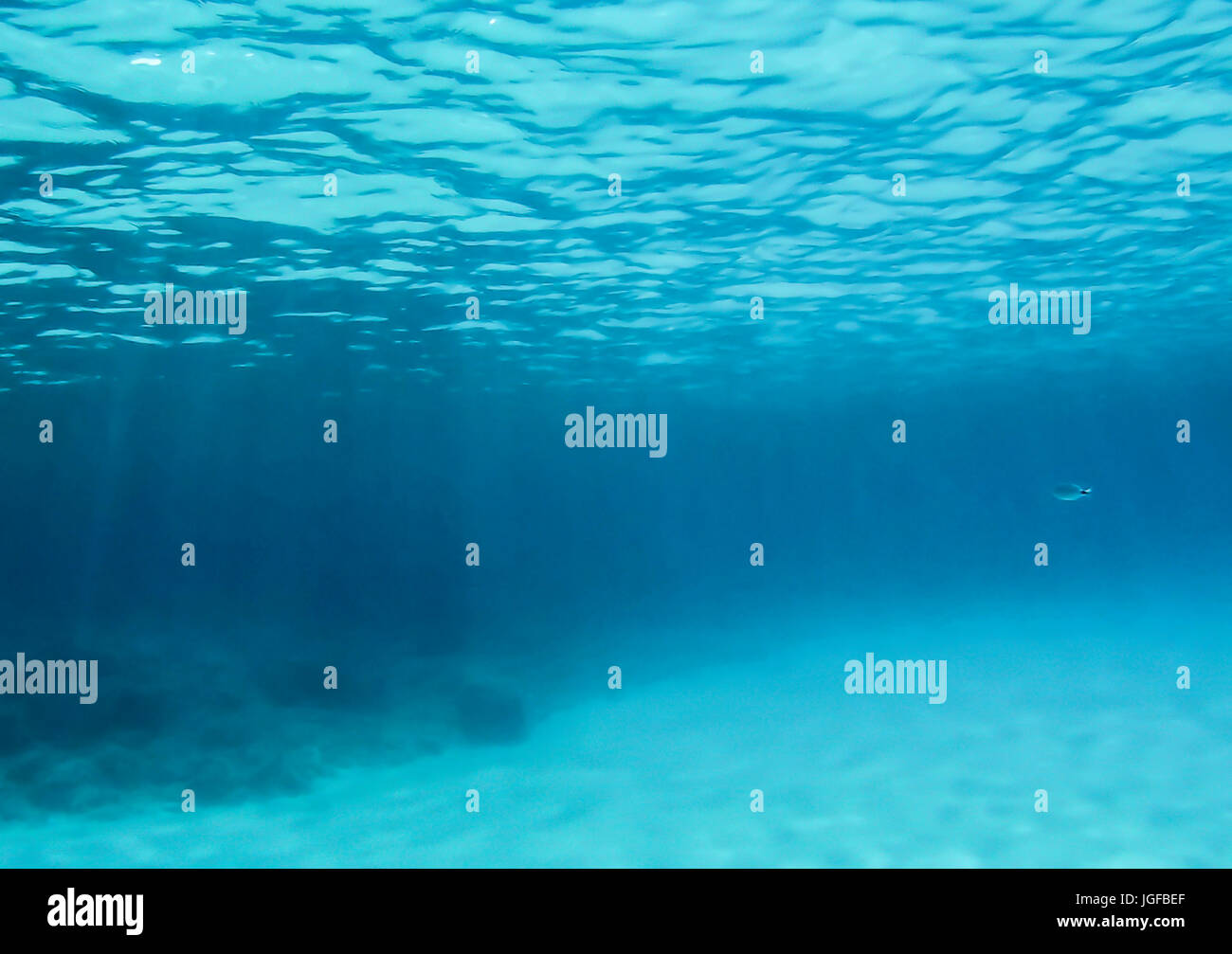 Underwater turquoise sea. Sardinia, Italy Stock Photo - Alamy