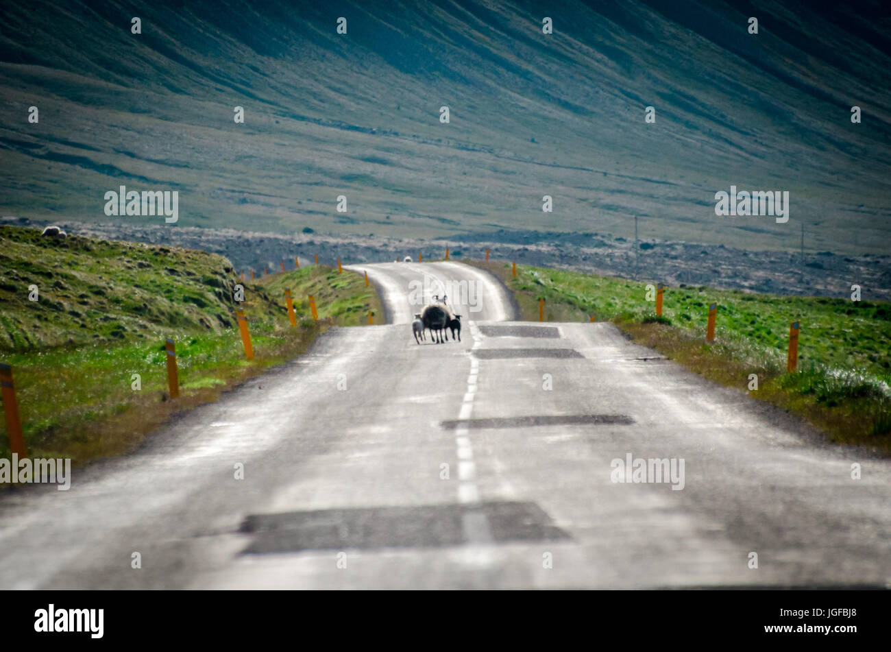 Life find its way Stock Photo - Alamy