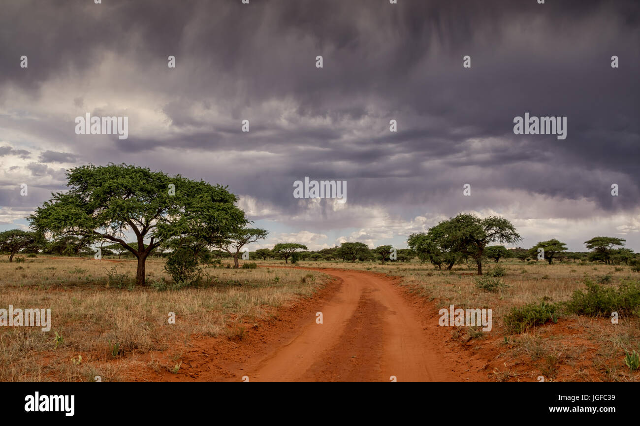 Storm clouds roll across savanna in the Northern Cape, South Africa ...