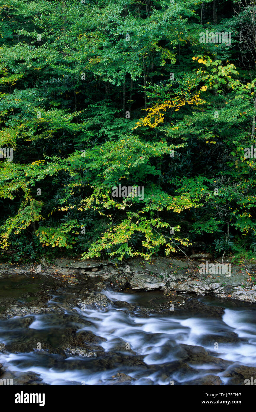 Monongahela national forest hi-res stock photography and images - Alamy
