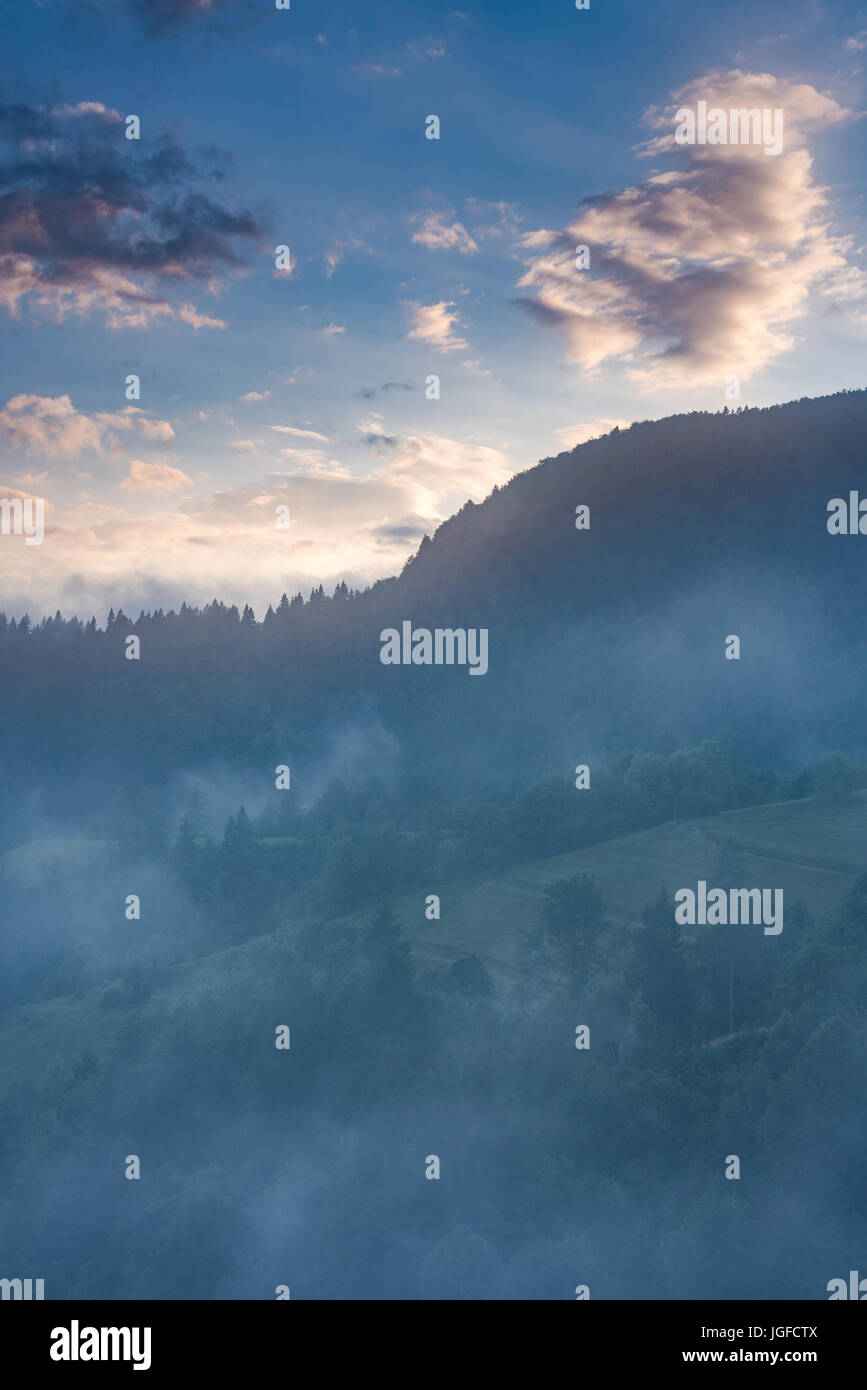 Evening sun rays breaking through the clouds and fog in mountain forest ...
