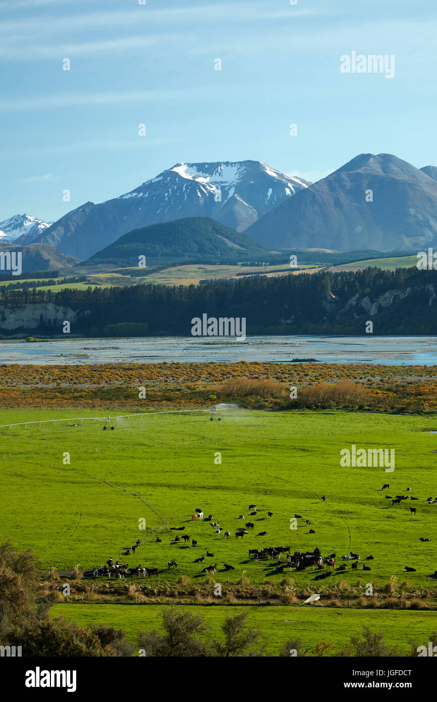 Rakaia hi-res stock photography and images - Alamy