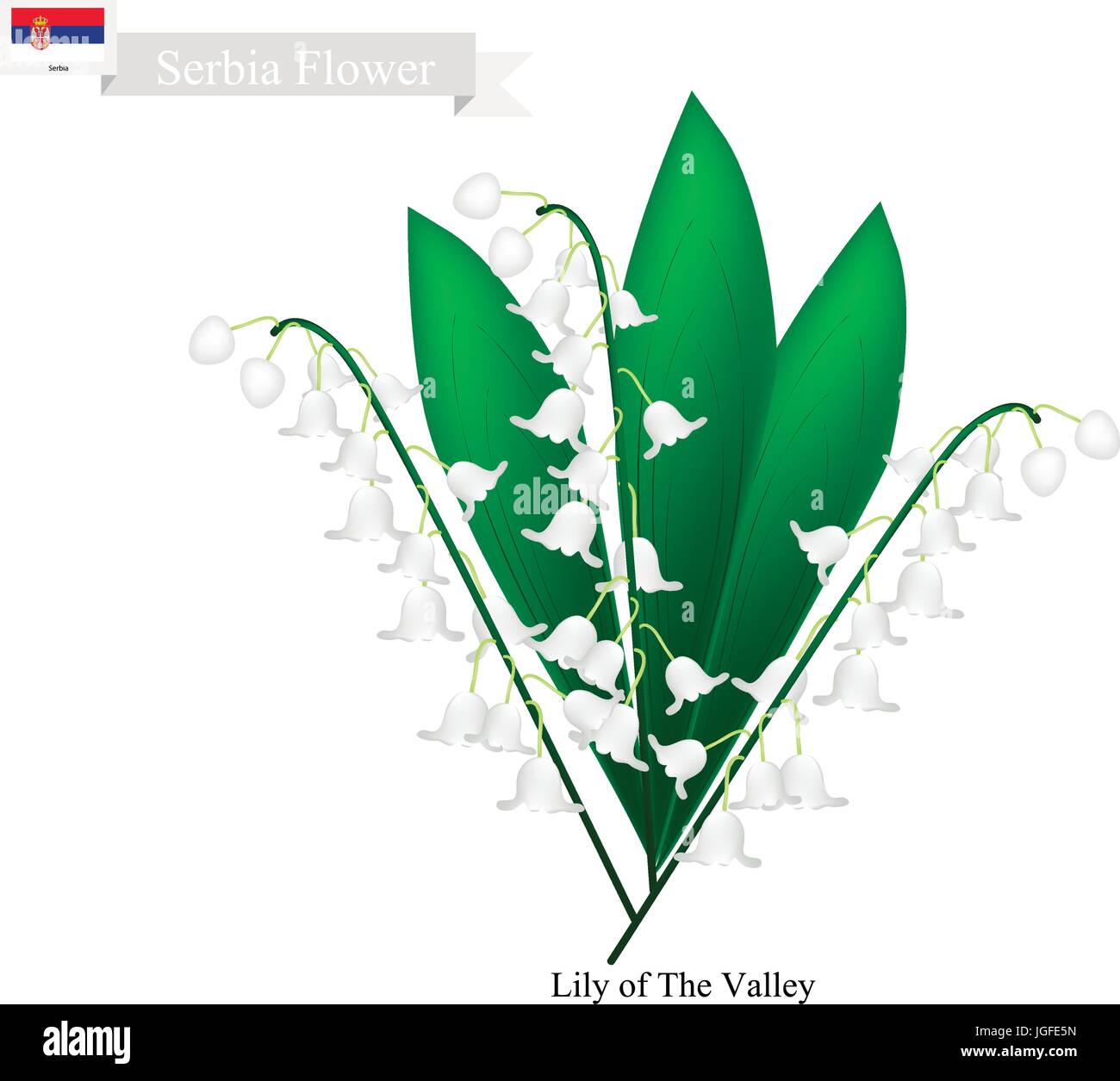 Serbian flora Stock Vector Images - Alamy