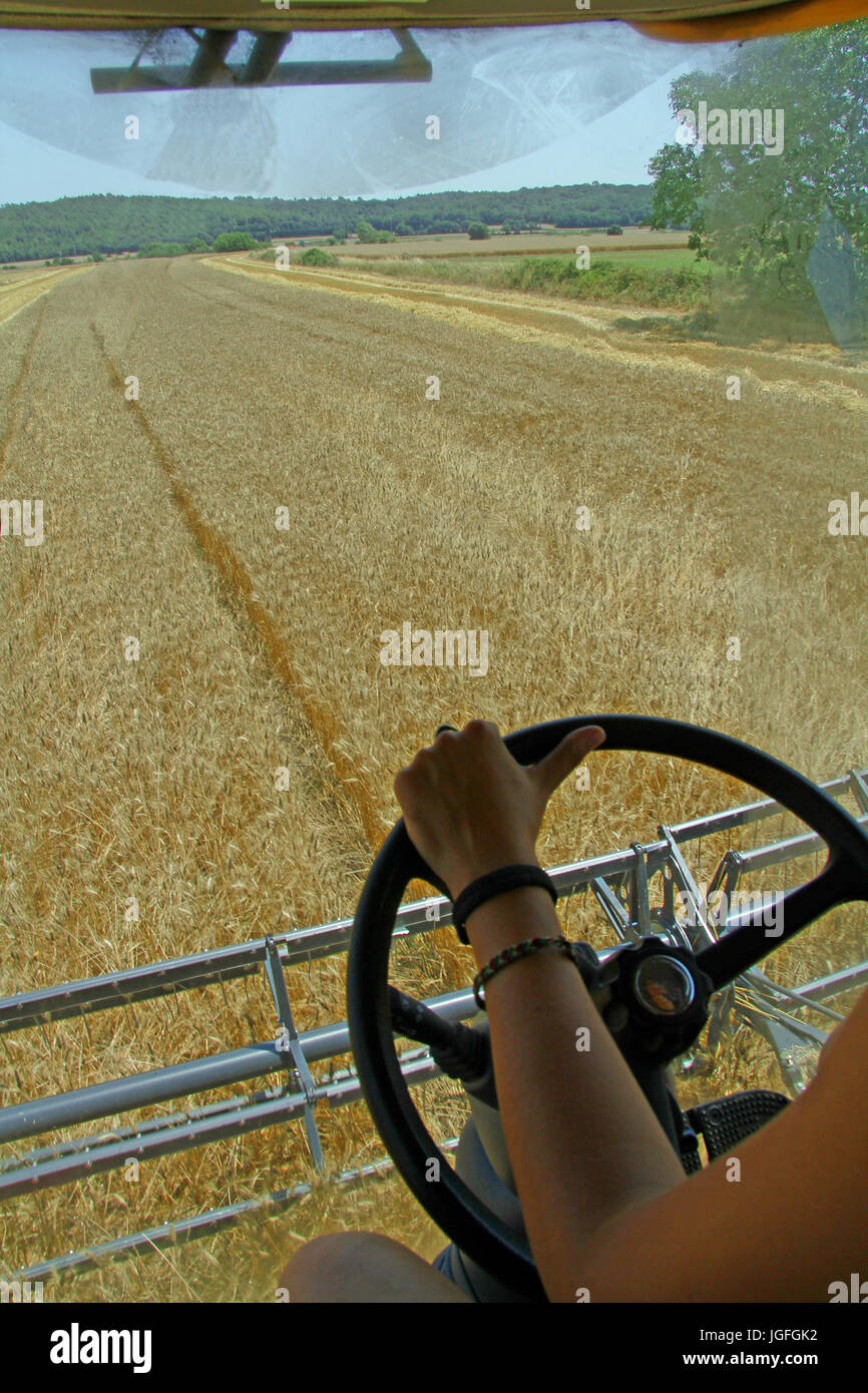 working in the field Stock Photo - Alamy