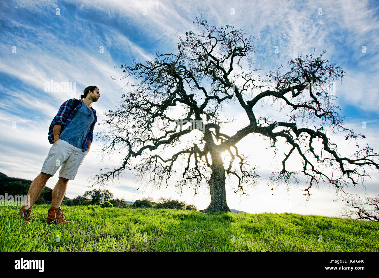 Caucasian man standing in field near tree Stock Photo - Alamy