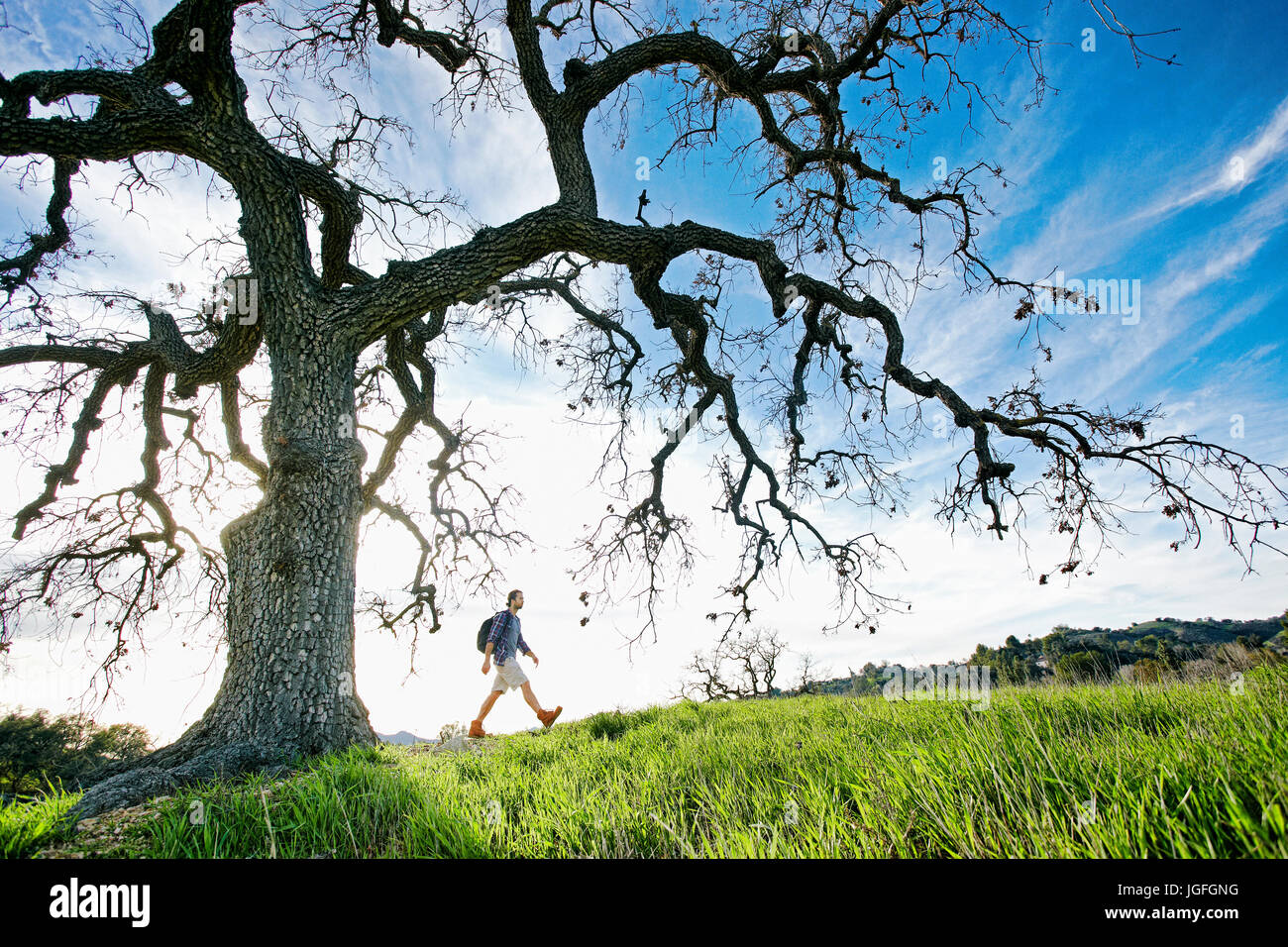 Man walking forward hi-res stock photography and images - Alamy