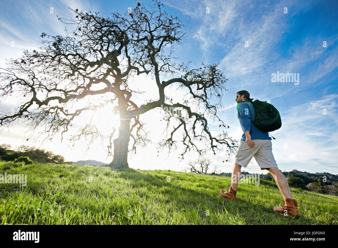 Caucasian man walking in field near tree Stock Photo - Alamy Caucasian man walking in field near tree Stock Photo - Alamy