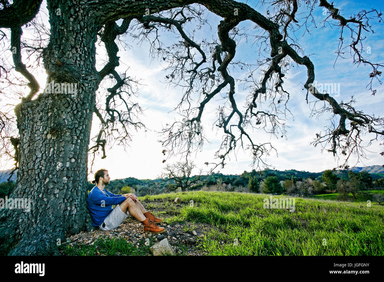 The leaning tree trunk hi-res stock photography and images - Alamy