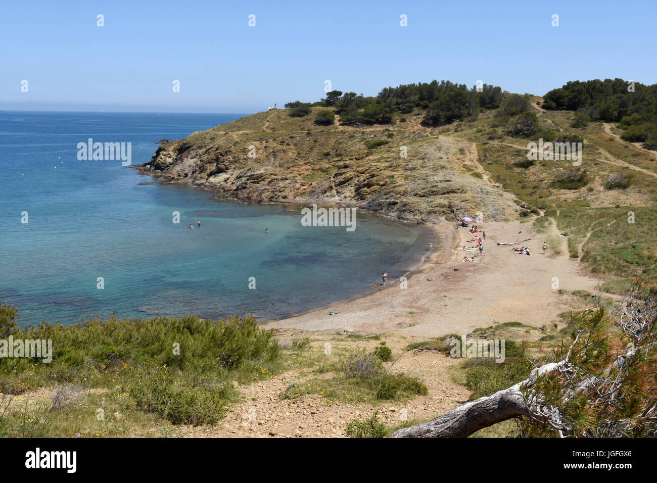 Colera hi-res stock photography and images - Alamy